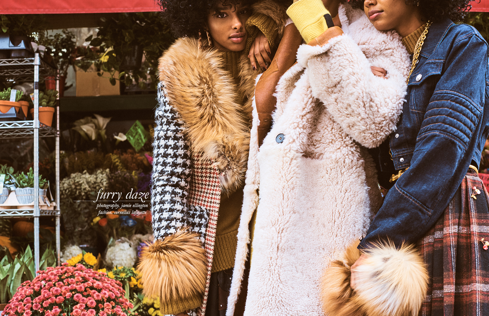 furry daze | Schön! Magazine