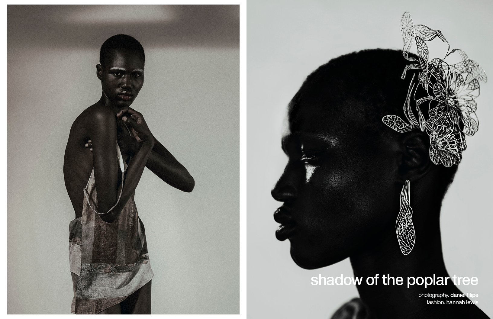 shadow of the poplar tree | Schön! Magazine