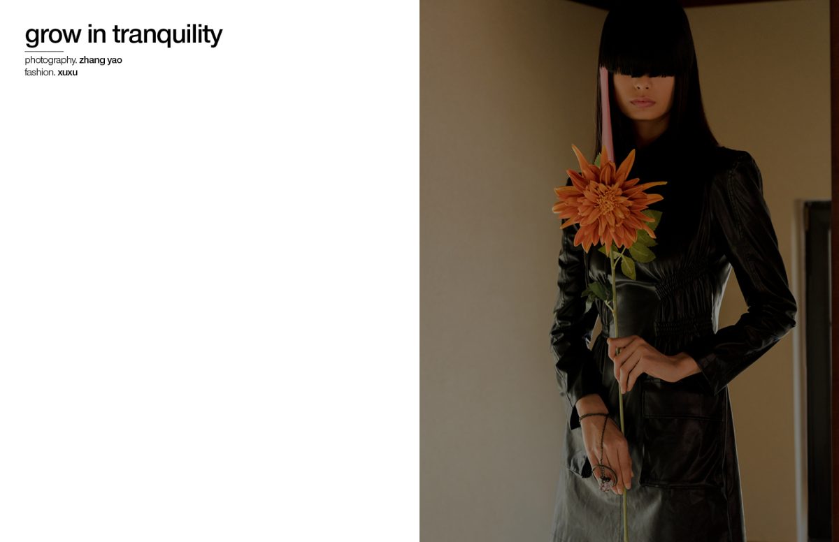 grow in tranquility | Schön! Magazine