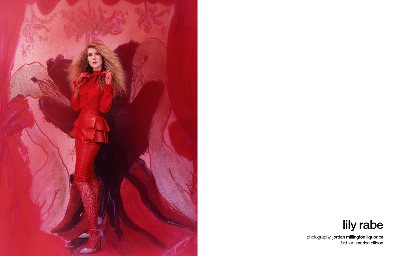 interview | elizabeth tabish | Schön! Magazine