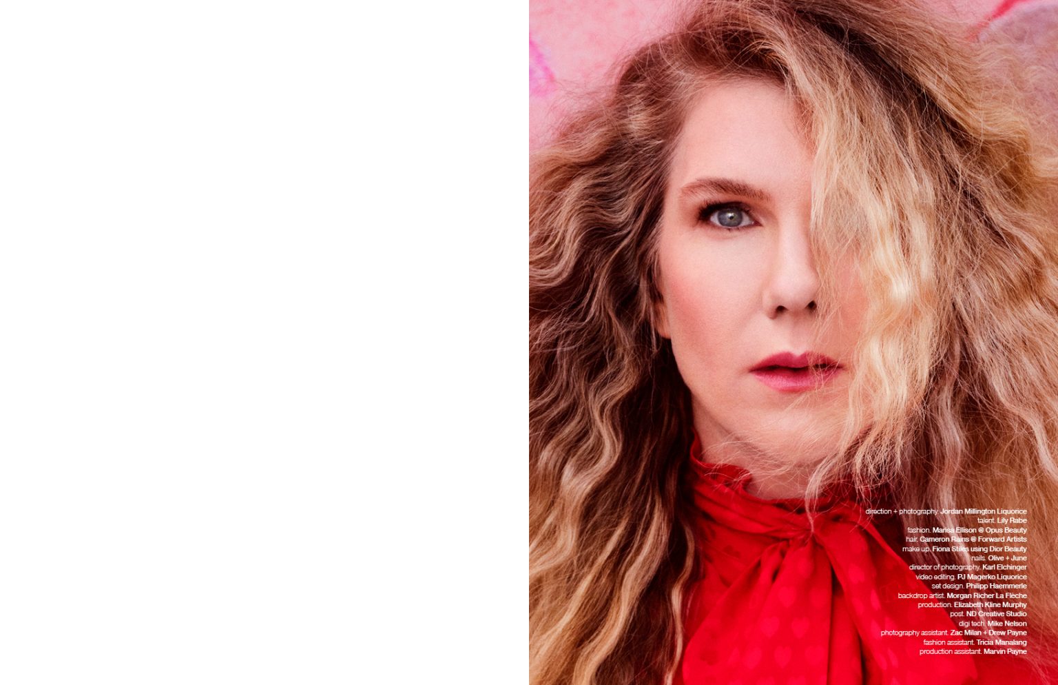 interview | elizabeth tabish | Schön! Magazine